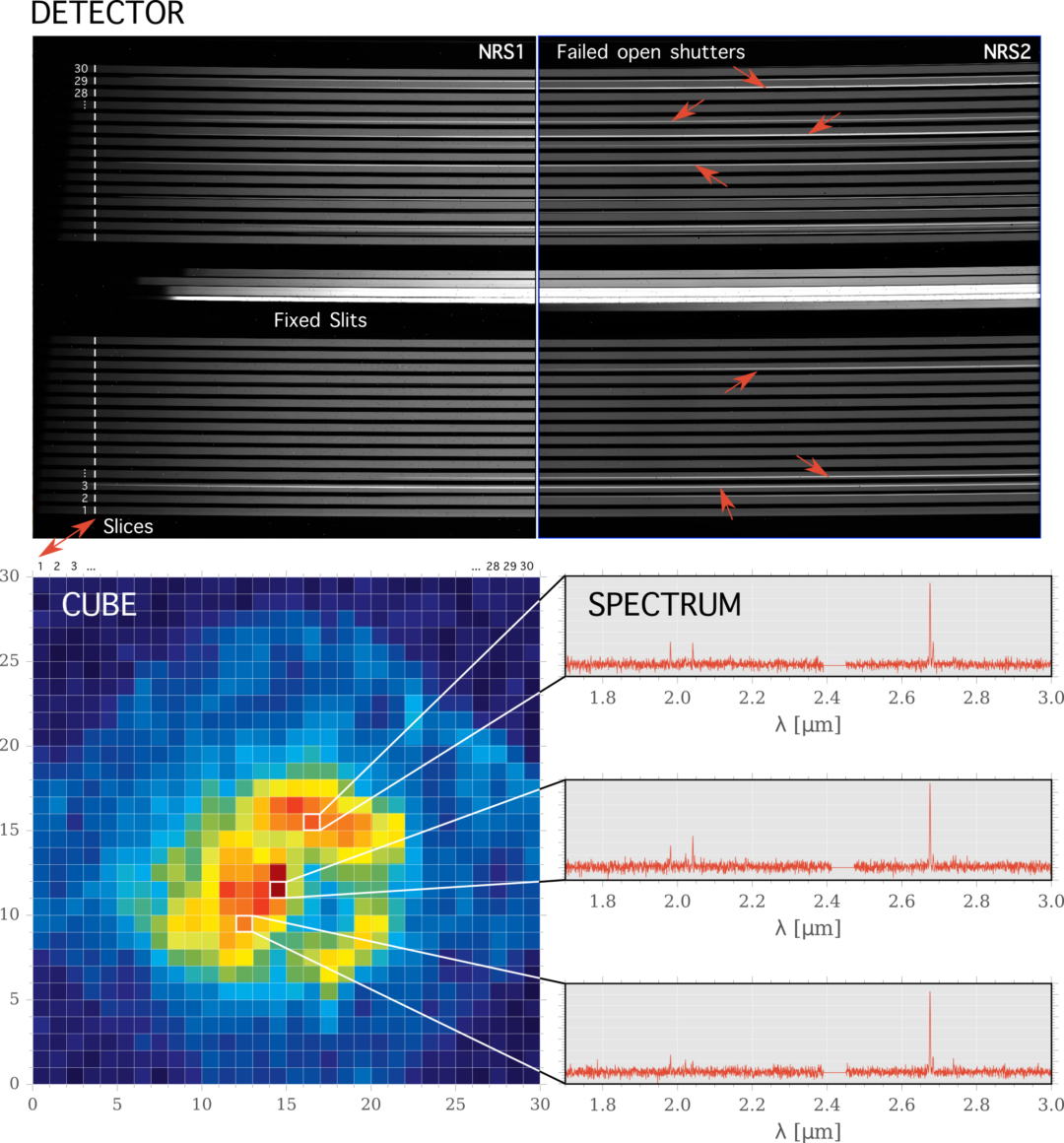 JWST’s First Direct Spectrum of a Planetary-Mass Object | astrobites