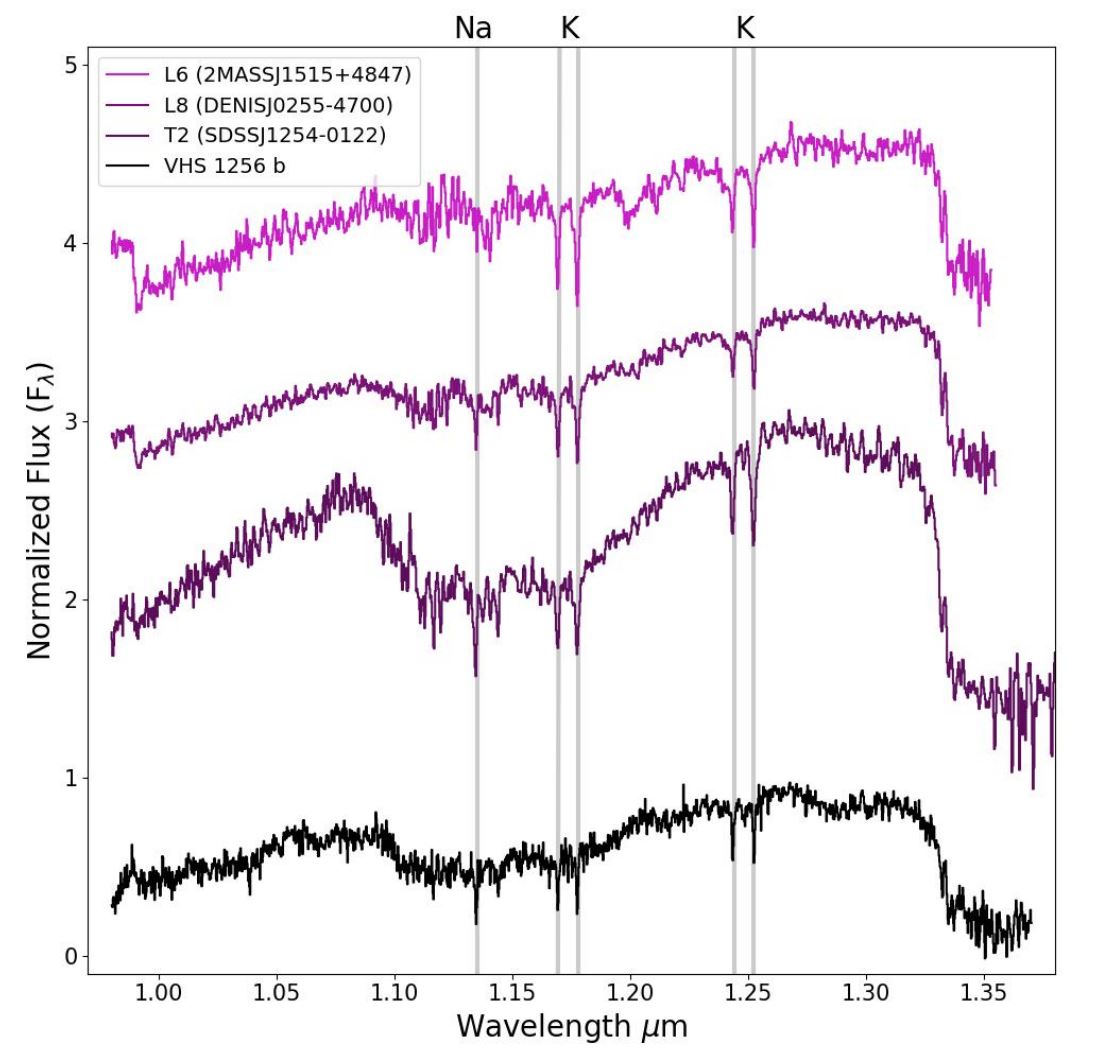JWST’s First Direct Spectrum of a Planetary-Mass Object | astrobites
