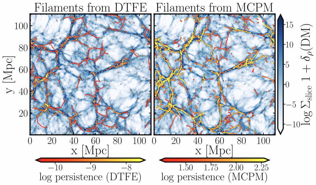 The Ultimate Duo: Astrophysics and…Slime Mold? | astrobites