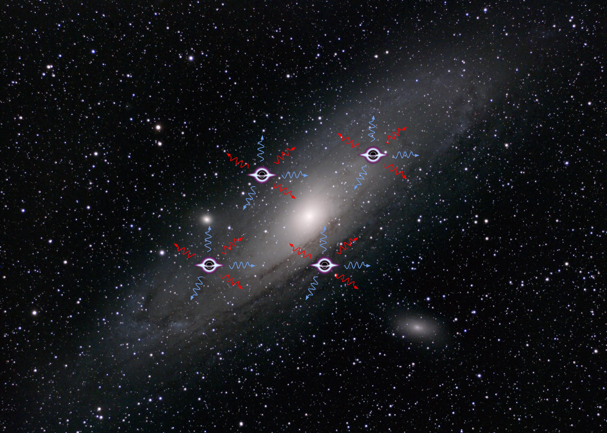 A Light in the Dark: Looking for Bright Black Holes as Dark Matter ...